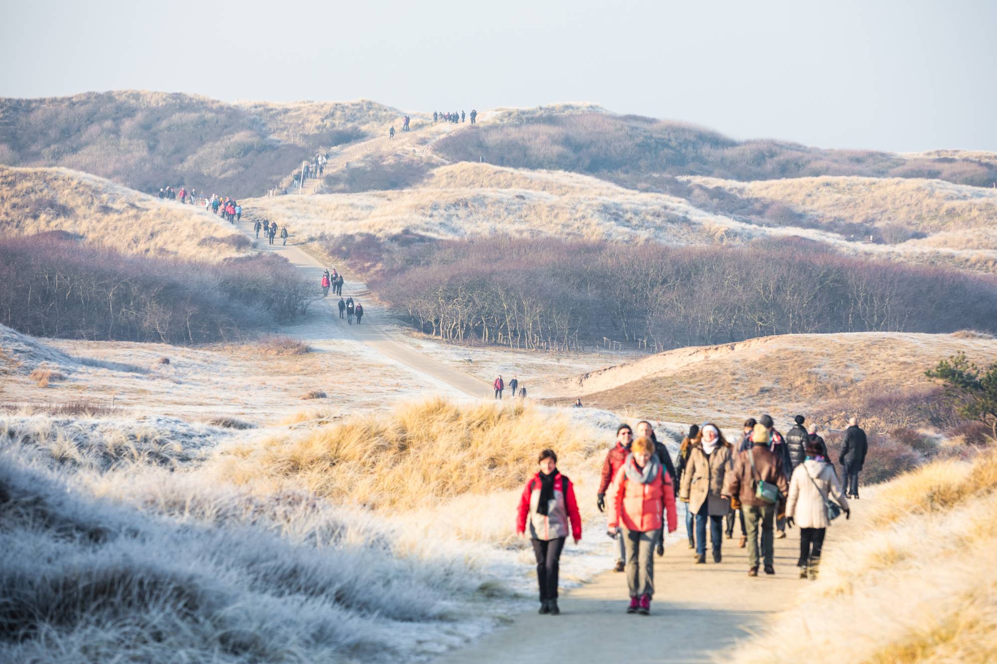 Verrassende routes door de natuur bij Egmond Wandel Marathon – Egmond ...